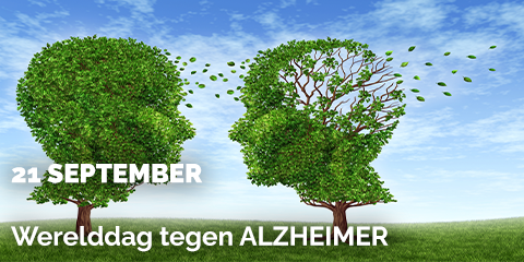 Cognitieve achteruitgang - Herbolistique Laboratoria